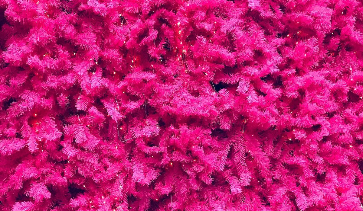 Understanding the Color Pink and Its Shades (Guide 2022) | Nova Color