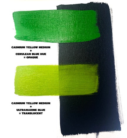 Opaque, Transparent and Translucent: The Importance of Opacity in Pain ...